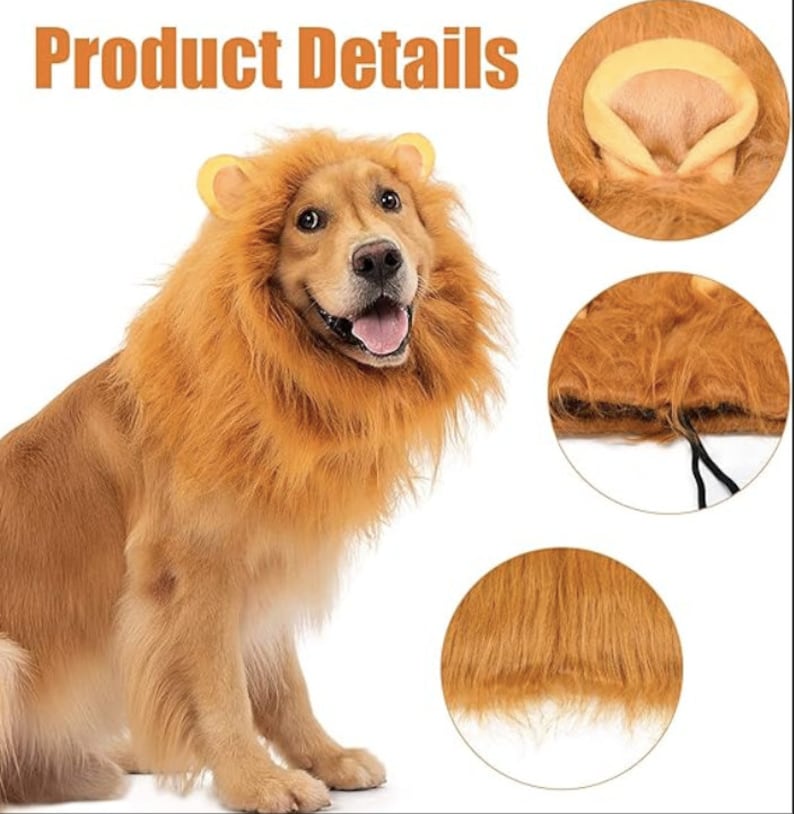 Dog Lion Mane Costume: Realistic Pet Halloween Wig (M-XL) - Etsy Australia