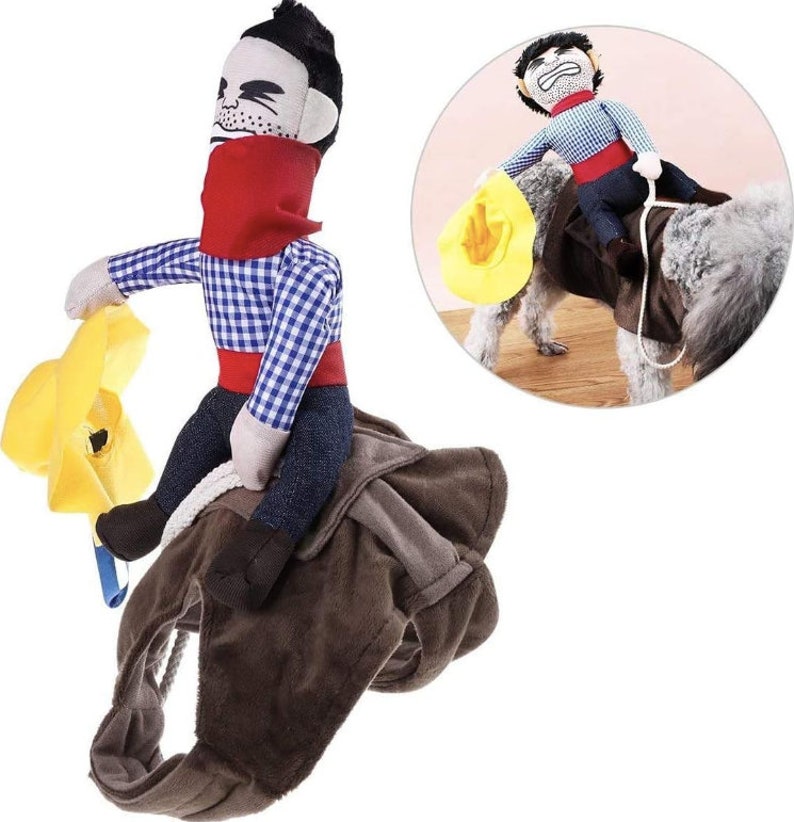 Dogs and Cats Cowboy Rider Costume With Knight Style Doll and Hat | Pet ...