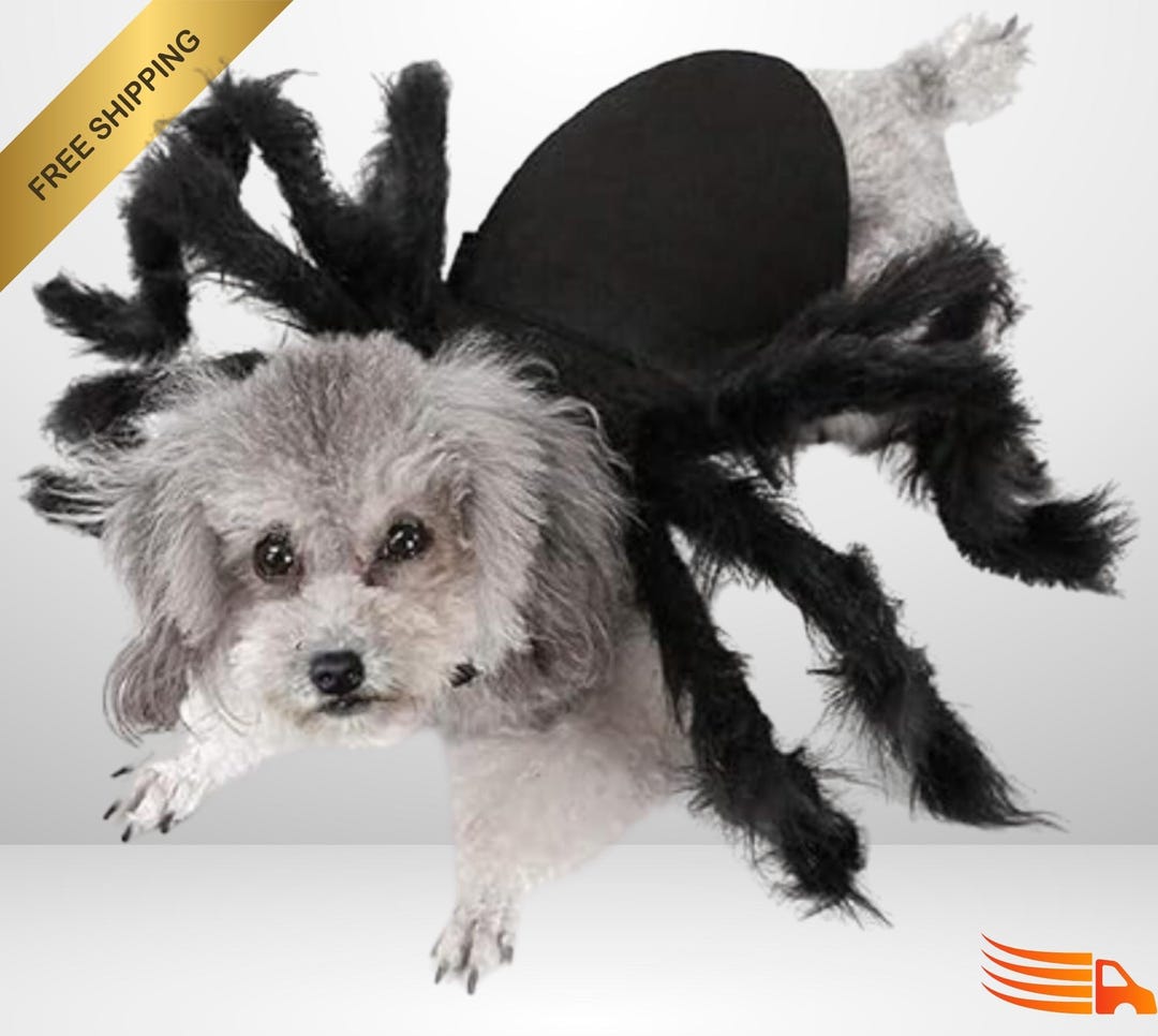 Spider Costume for Small Dogs and Cats Halloween Pet Cosplay Outfit ...