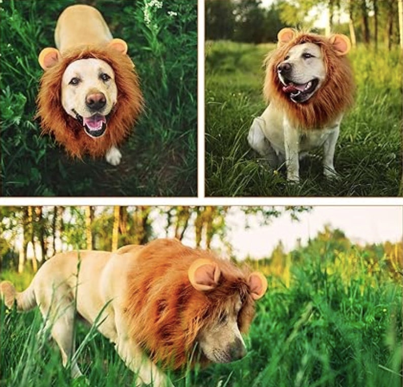 Realistic Lion Mane Wig for Medium to Large Dogs Fun Halloween Costume ...