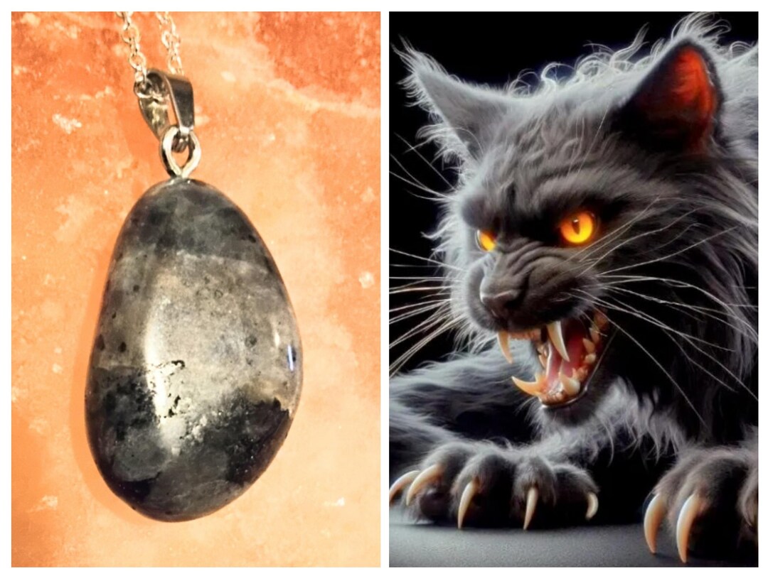 Hex Cat Entity Companion Talisman Cat Spirit Companion Living Entity ...