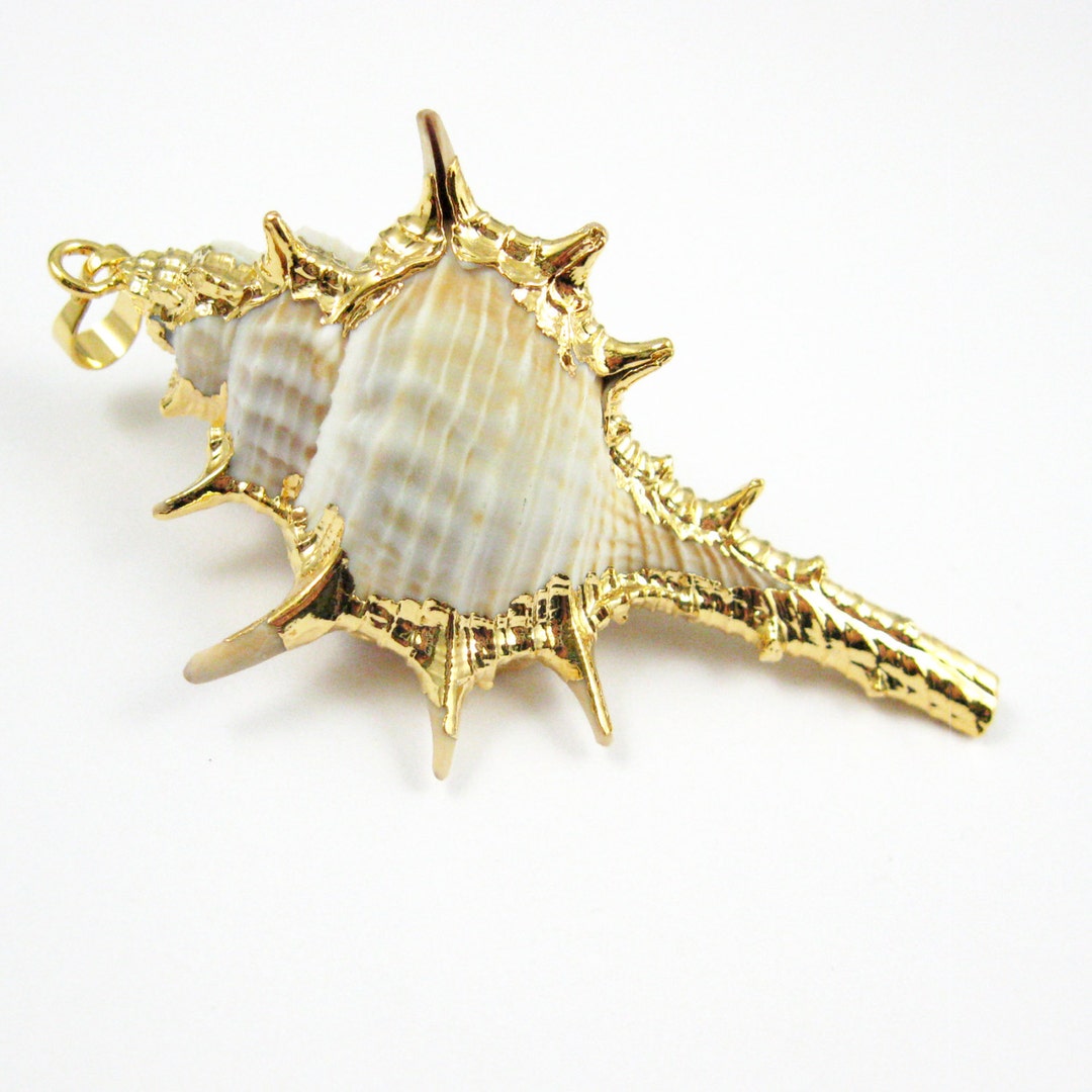 Shell Pendantnatural Cabrits Murex Pendant Gold Wrapped - Etsy