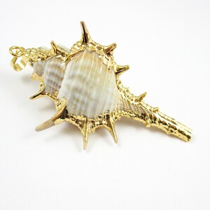 Shell Pendantnatural Cabrits Murex Pendant Gold Wrapped - Etsy