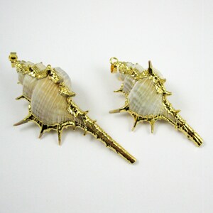 Shell Pendantnatural Cabrits Murex Pendant Gold Wrapped - Etsy