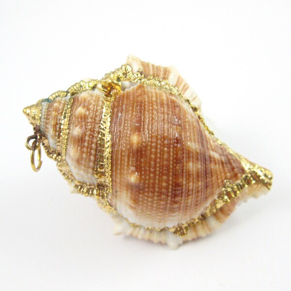 Conch Shell Jewelry - Etsy