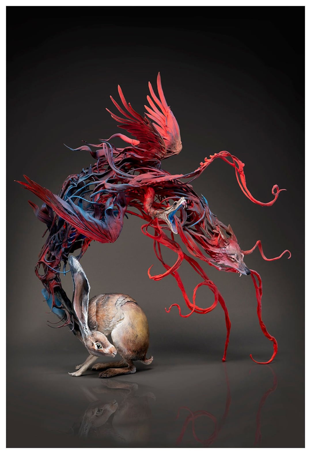 On the Wings of Nightmare and Expectation - (rabbit and Predators ...