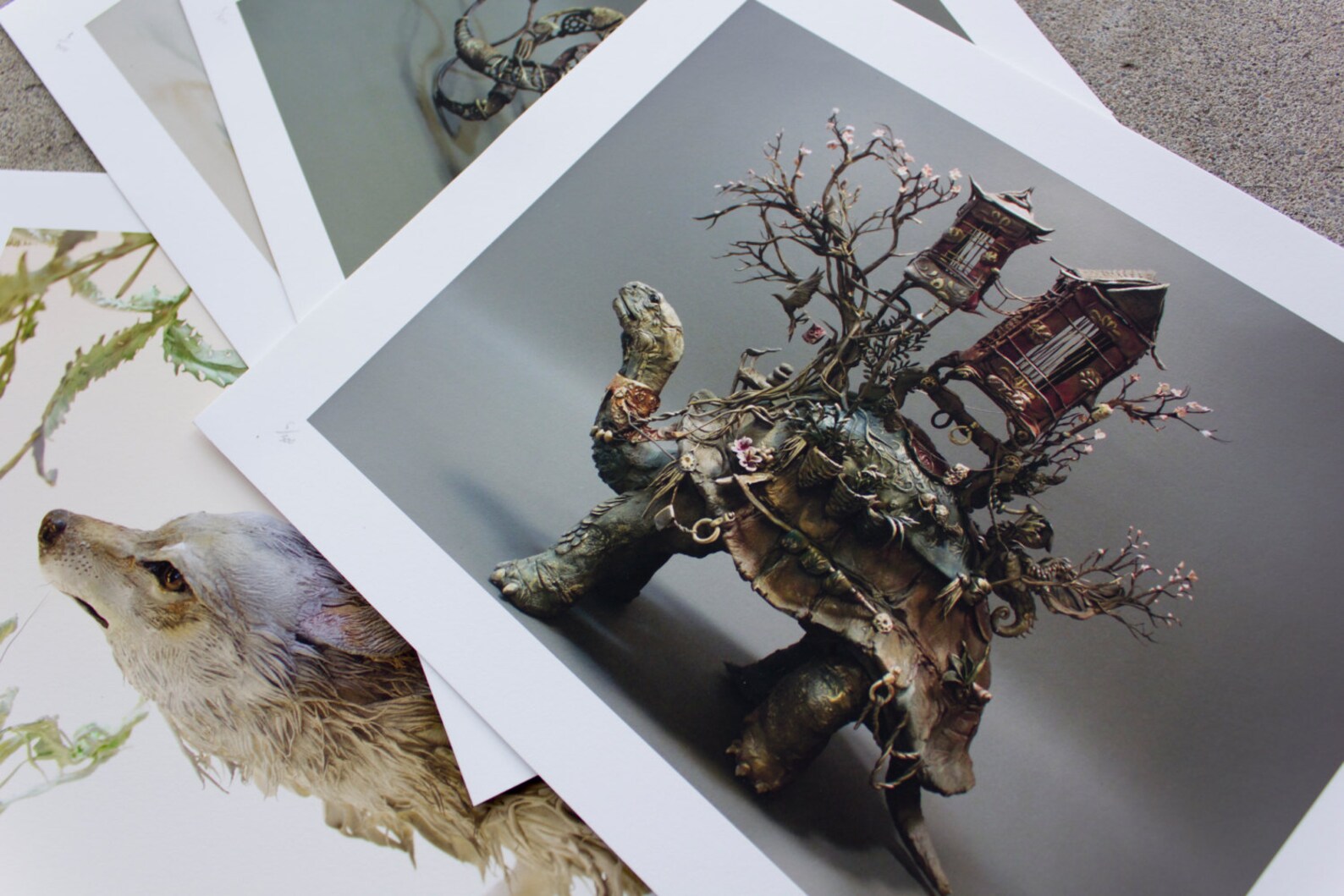 The Art of Patience (tortoise of Burden) - Original Giclee Limited ...