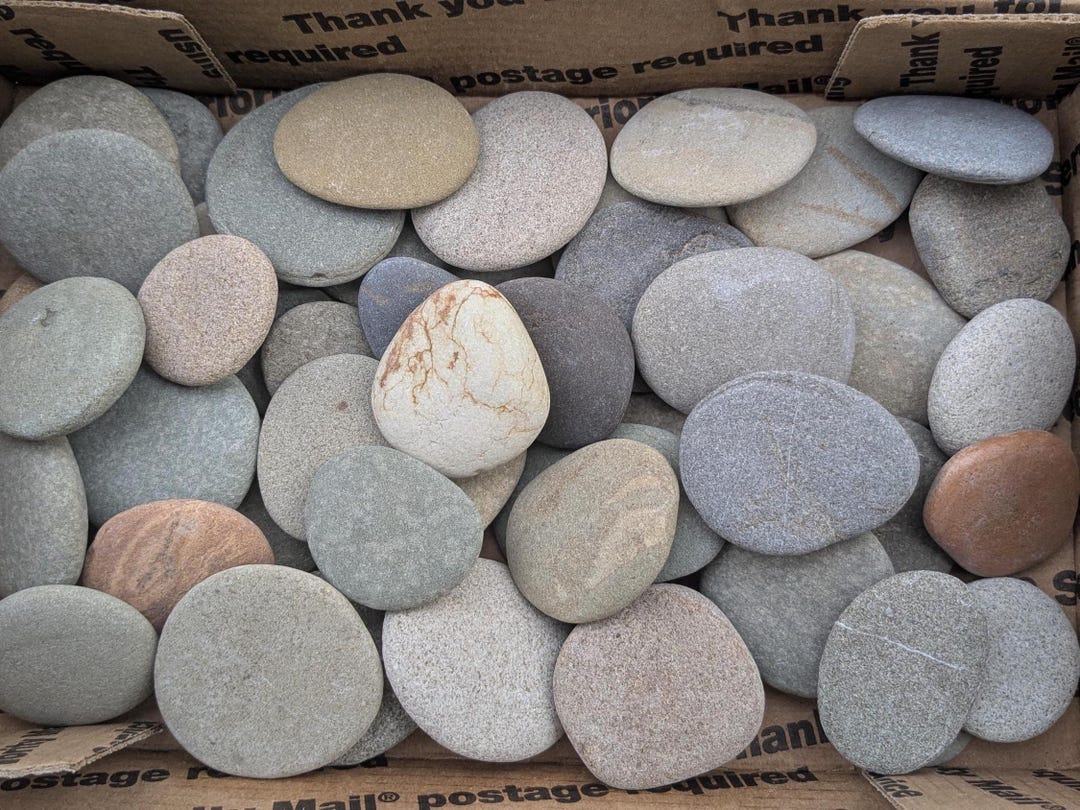 50 California Beach Stones Small Flat Rounds for Crafting Wedding ...