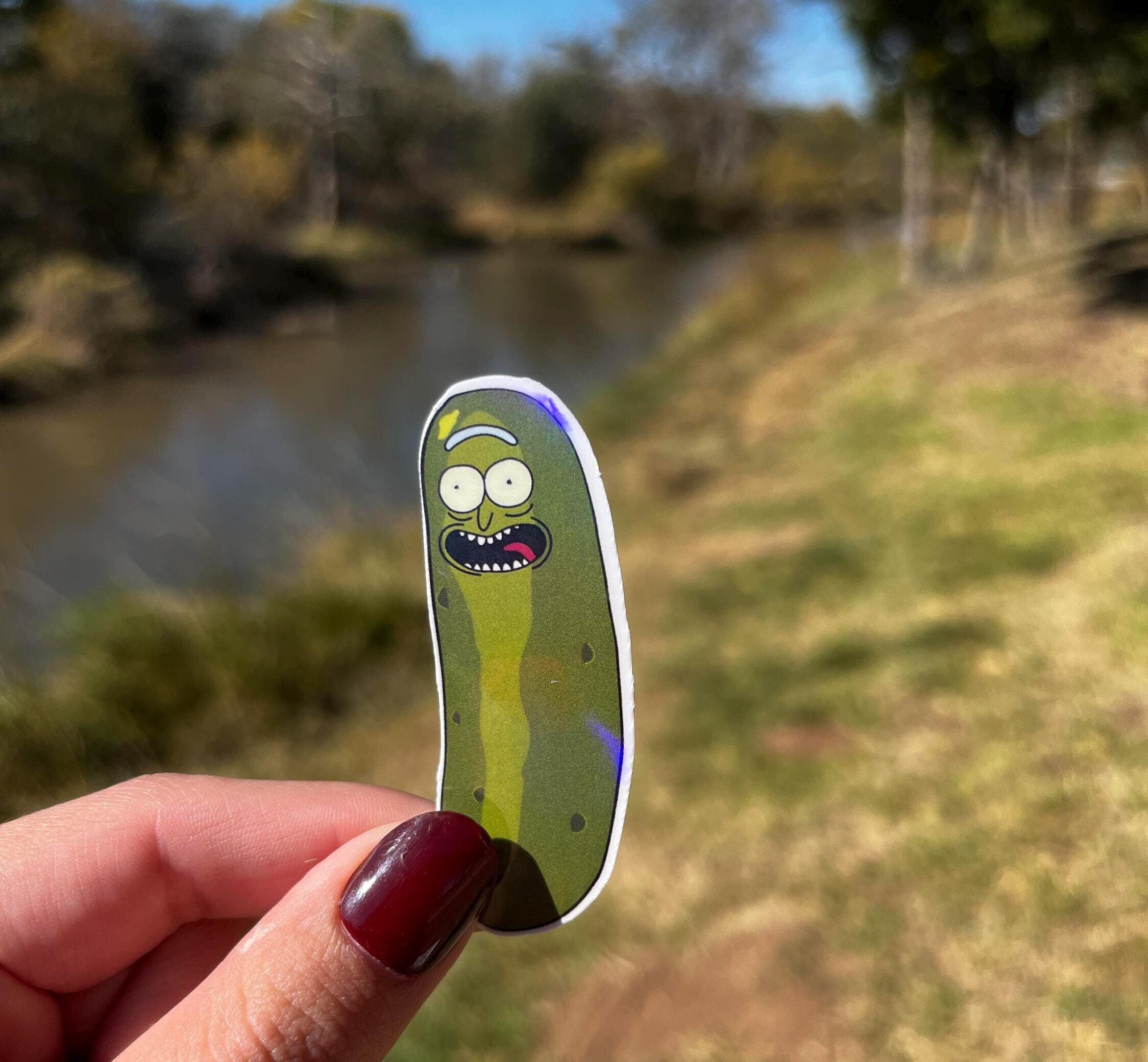 Funny Pickle Sticker Pack Pickle Rick Sticker Pack Rick Morty Adults ...