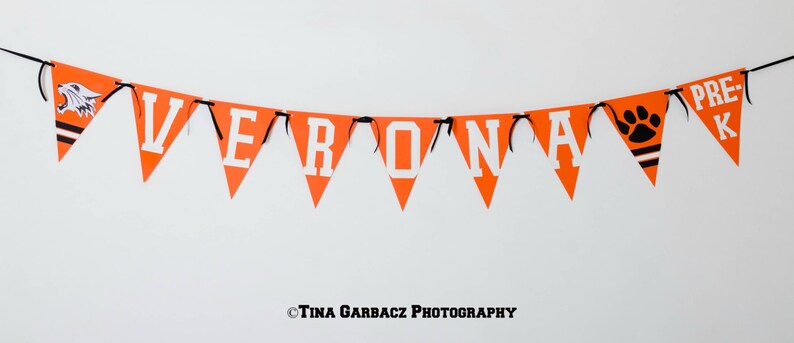 School Team Spirit Banner-custom and Personalized Flags, Pennants and ...