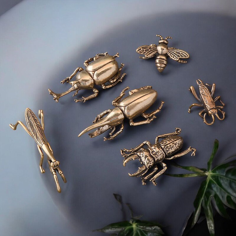 Insect Decor - Etsy