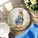 Watercolor Art Peter Rabbit Bone China Plates, Dinnerware Set, Easter ...