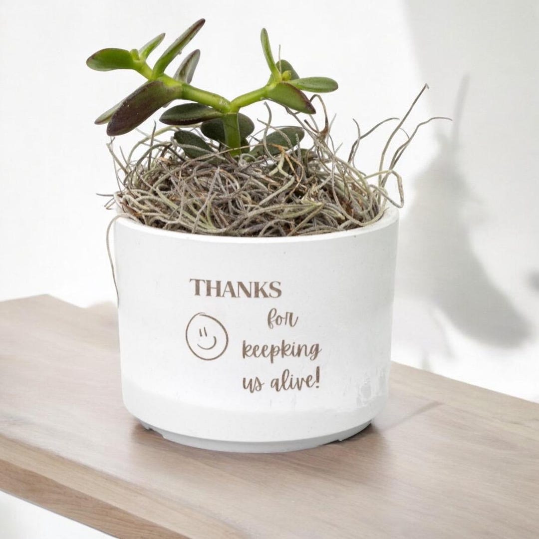 Thanks for Keeping Us Alive, Desk Plant, Live Succulent, Boss's Day ...