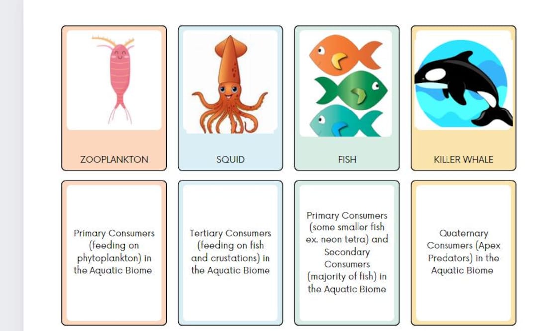 S.T.E.A.M Printable Aquatic Biome Food Web Flash Cards - Etsy