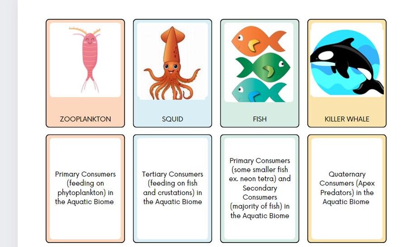 S.T.E.A.M Printable Aquatic Biome Food Web Flash Cards - Etsy