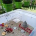 Treasure Island-themed Sensory Play Set – Montessori-inspired ...