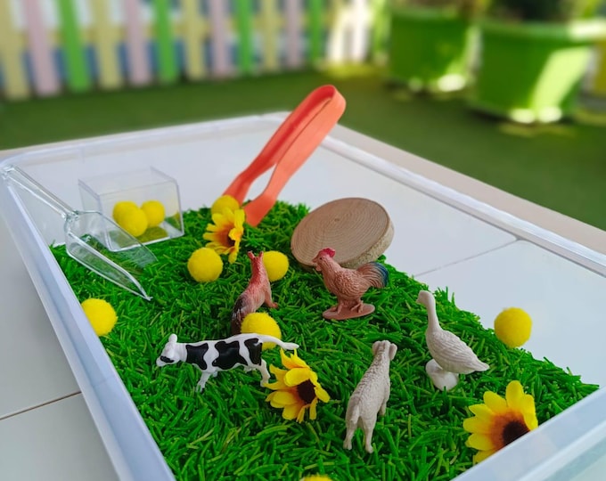 Farm Animals-themed Sensory Play Set – Montessori Method Fun Discovery ...