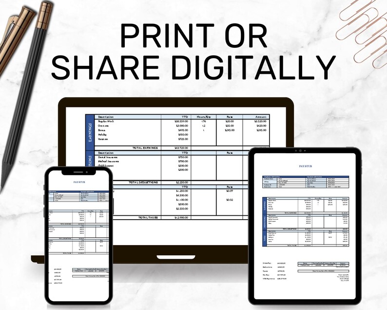 Editable Pay Stub, Employee Pay Stub, Bi-weekly Paystub, Check Stub ...