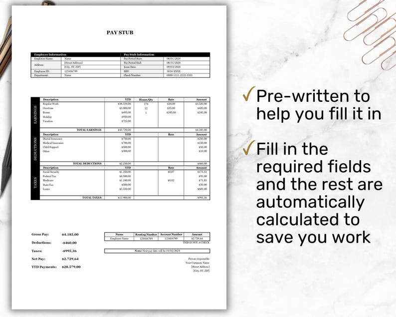 Professional Pay Stub Template for Business, Pay Stub After Tax ...