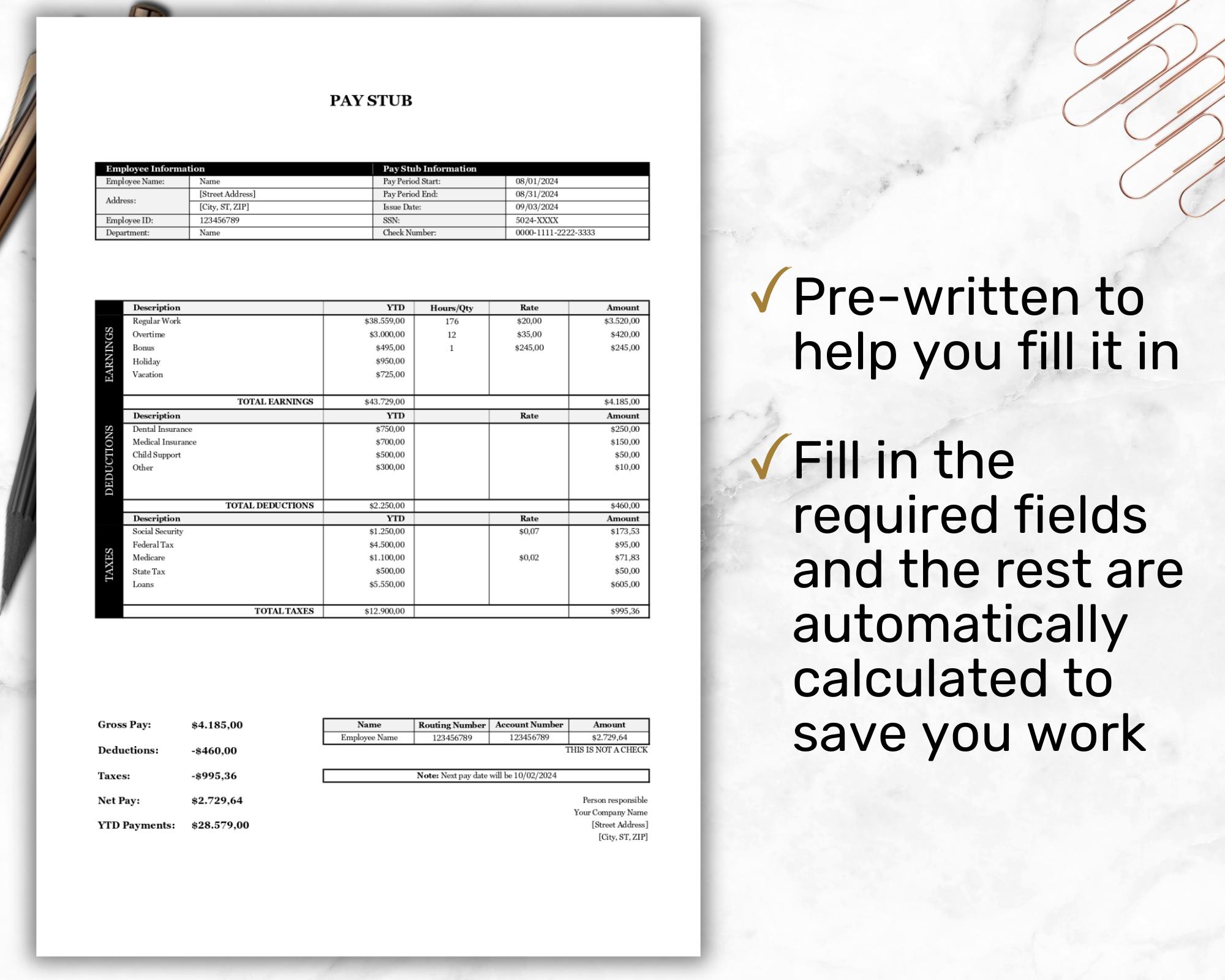 Professional Pay Stub Template for Business, Pay Stub After Tax ...