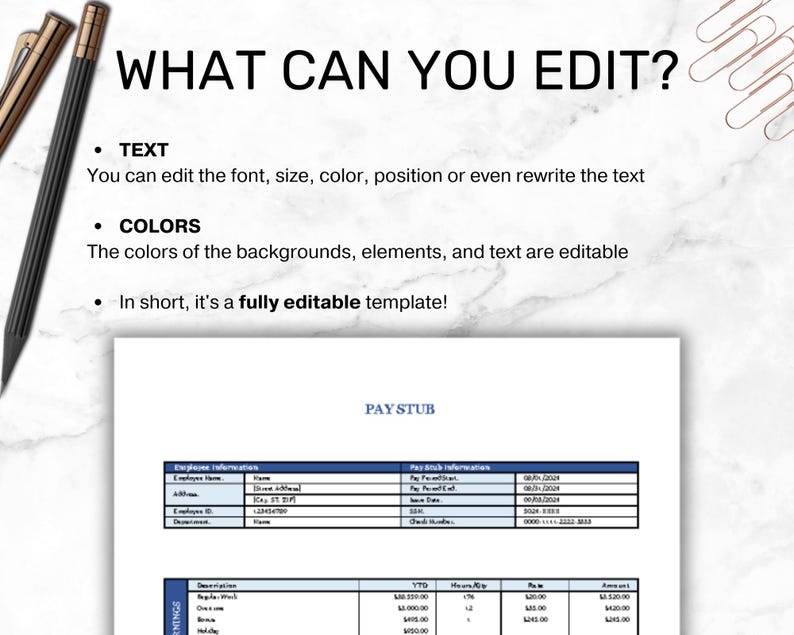 Editable Pay Stub, Employee Pay Stub, Bi-weekly Paystub, Check Stub ...