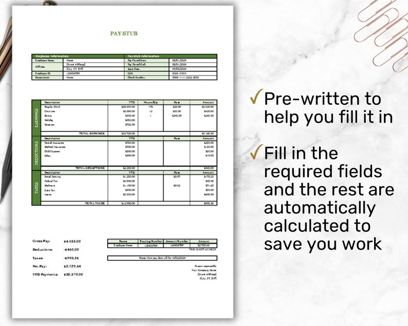 Professional Pay Stub Template for Business Contractors Employees, Pay ...