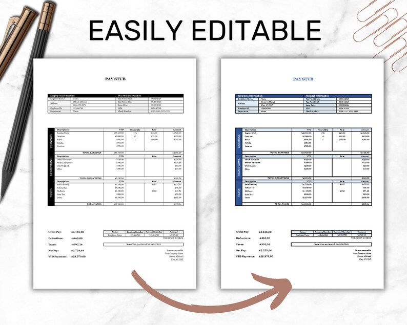 Professional Pay Stub Template for Business, Pay Stub After Tax ...