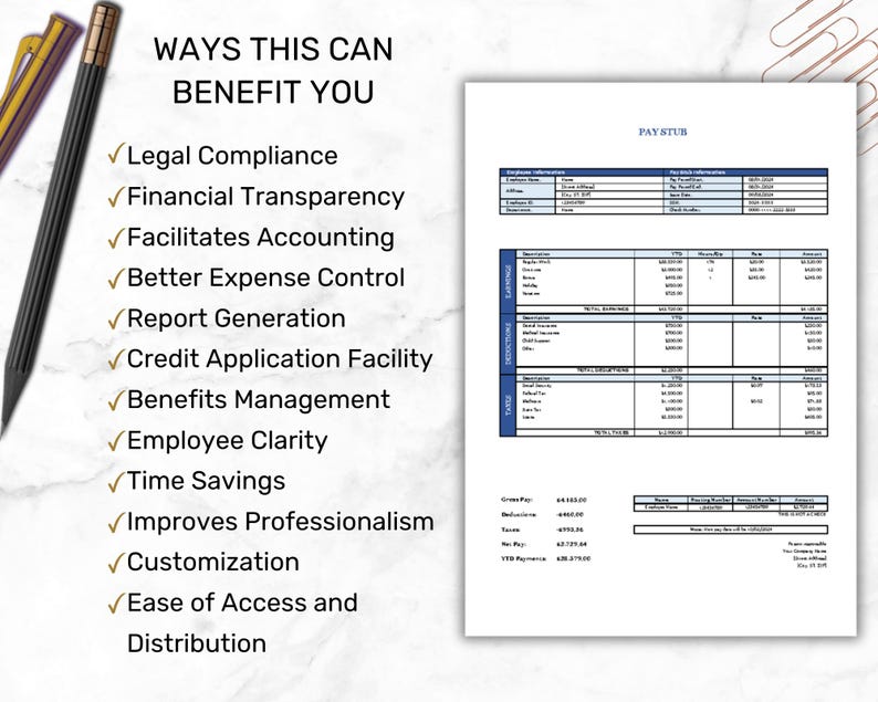 Editable Pay Stub, Employee Pay Stub, Bi-weekly Paystub, Check Stub ...