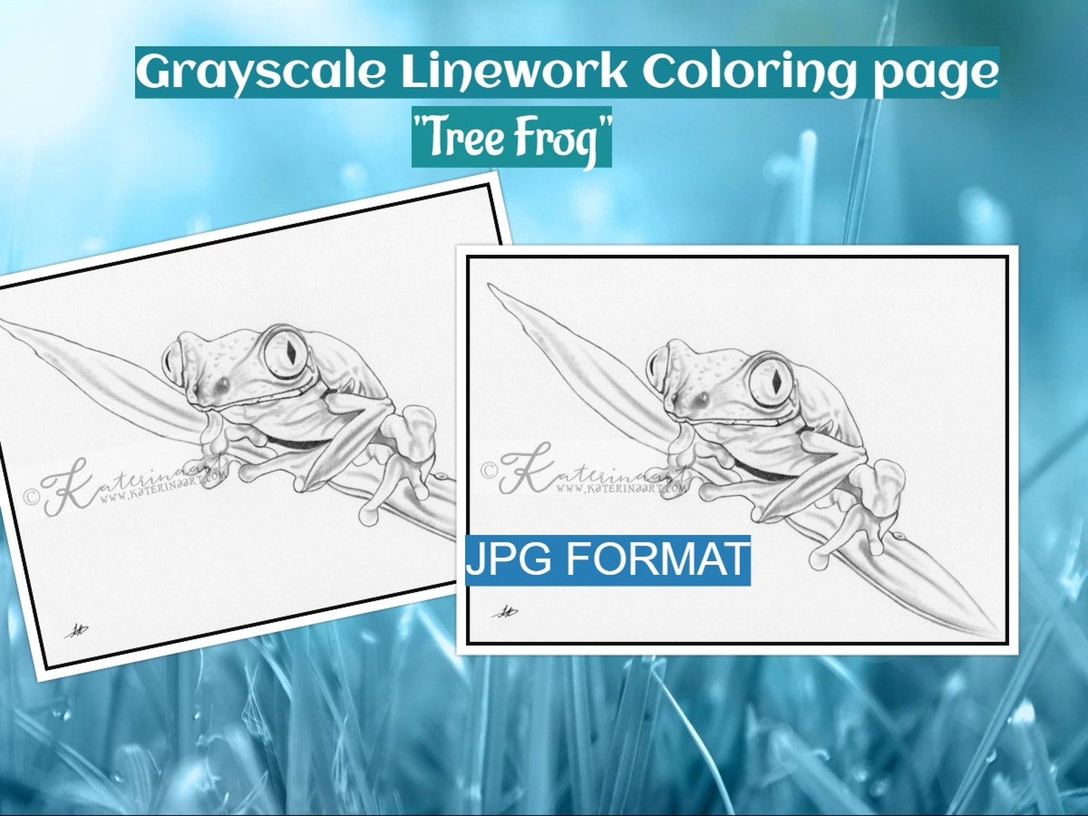 Tree Frog Printable Coloring Page Instant Download Grayscale Image Fantasy Art By Katerina Art