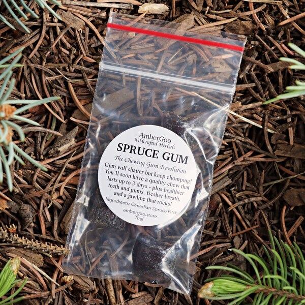 Spruce Gum - Etsy