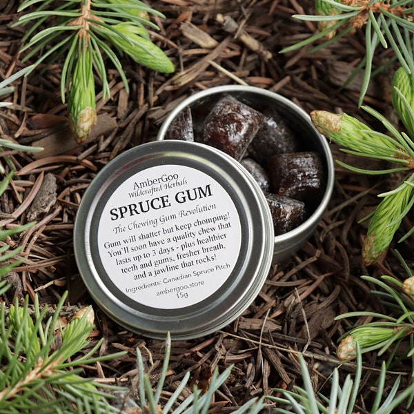 Spruce Gum - Etsy