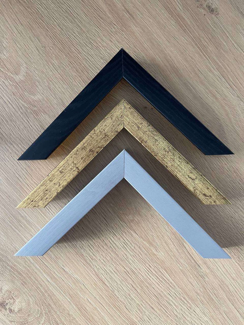 Rich Duck Canvas, Cartoon Duck Poster, Duck Canvas Art, Duck Print ...