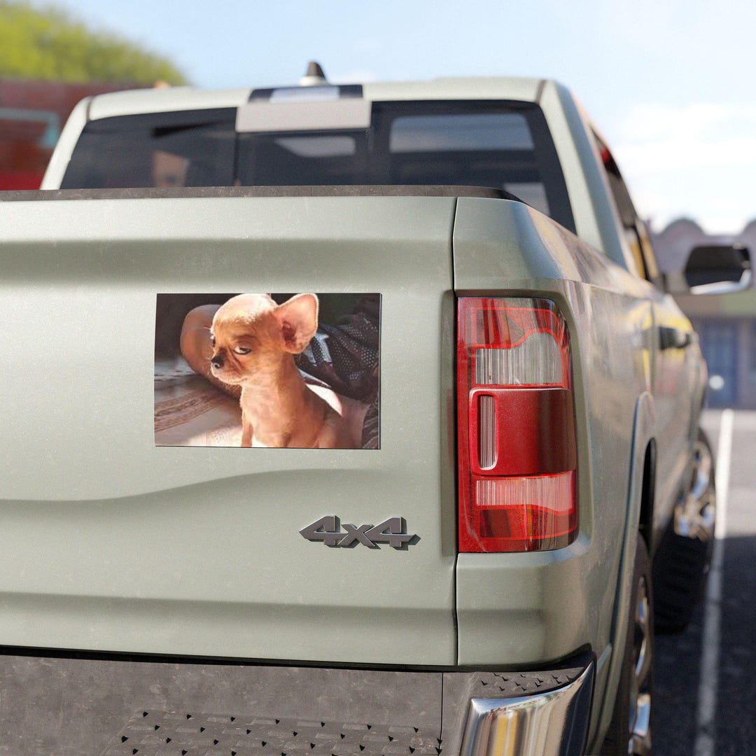 Dog Meme Sticker, Funny Car Magnet, Vinyl Meme Sticker, Gag Gift, Funny ...