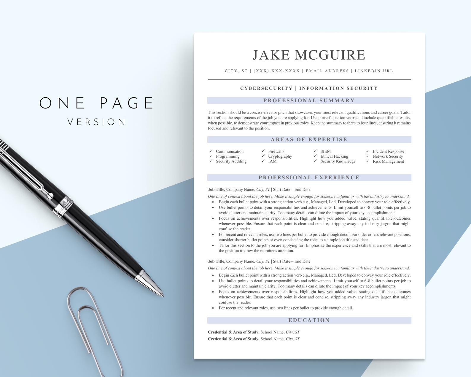 Professional Resume Template ATS Friendly Resume Templates Executive ...