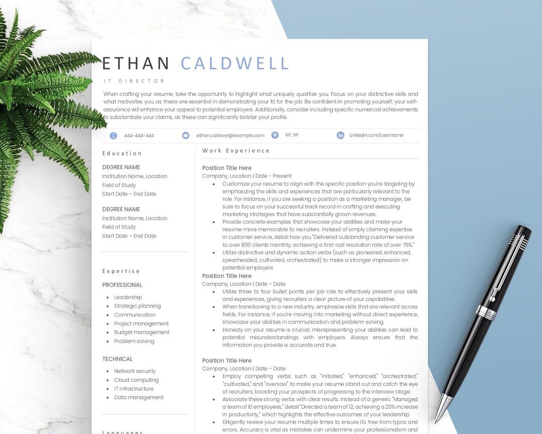 Google Docs Resume Template, Word Resume & Pages Detailed Professional ...