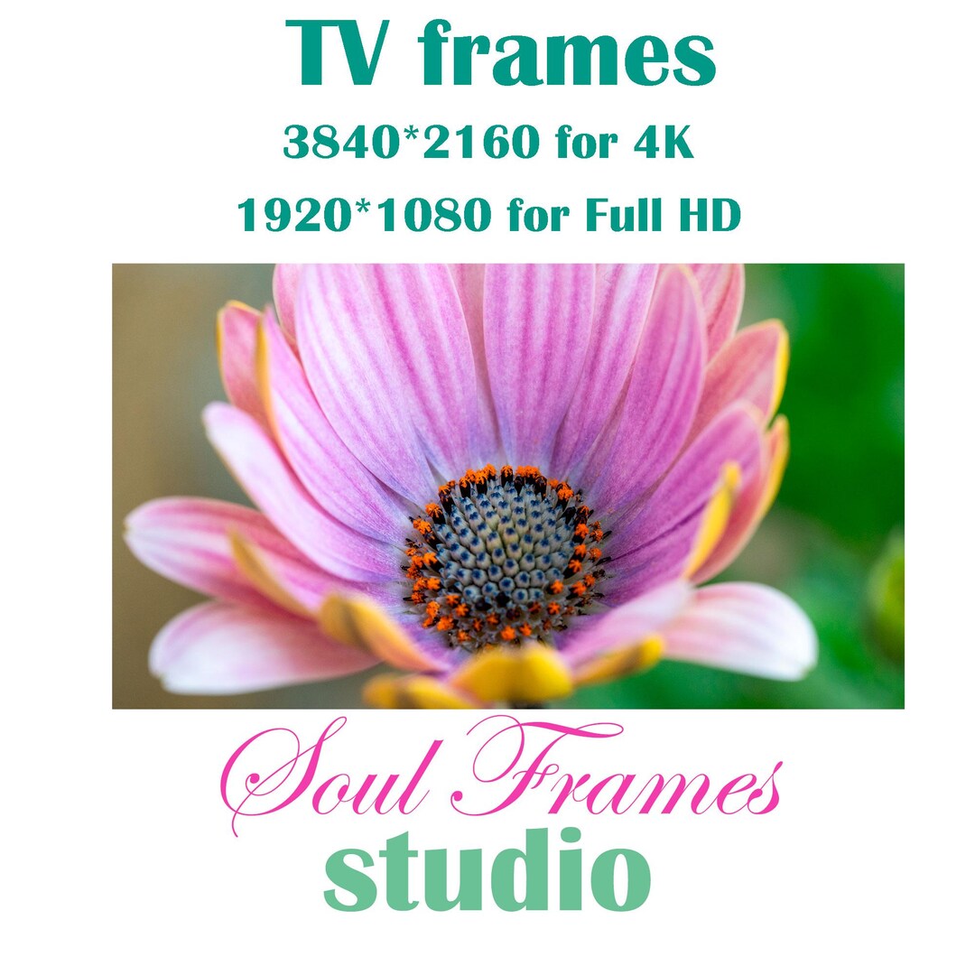 TV Frames 4k+full HD, Echo Show Frame, Pink Daisy Photo, Macro ...