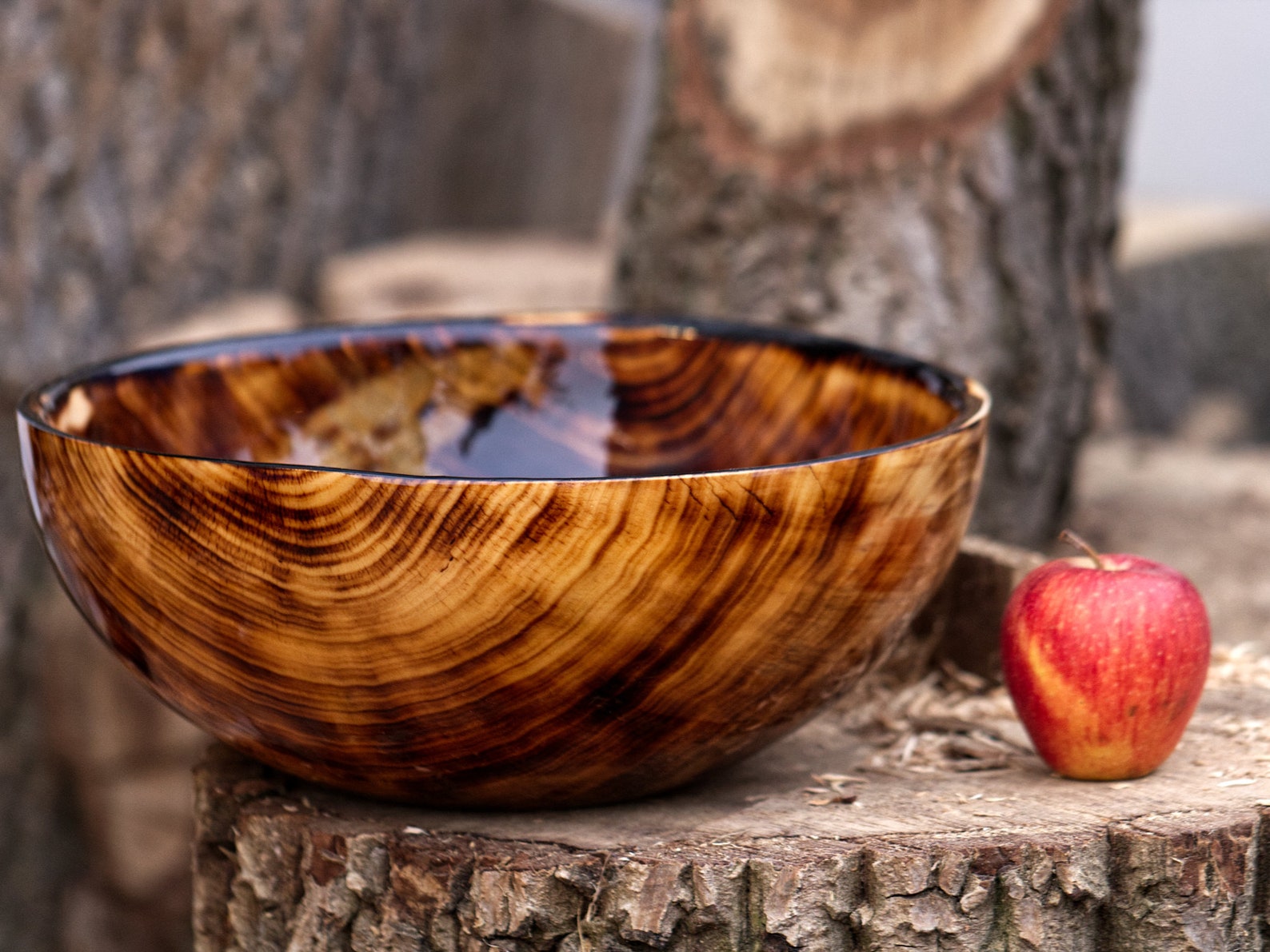 Large Wood Bowl From Burned Poplar Wood, Luxury Gloss Resin Finish - Etsy
