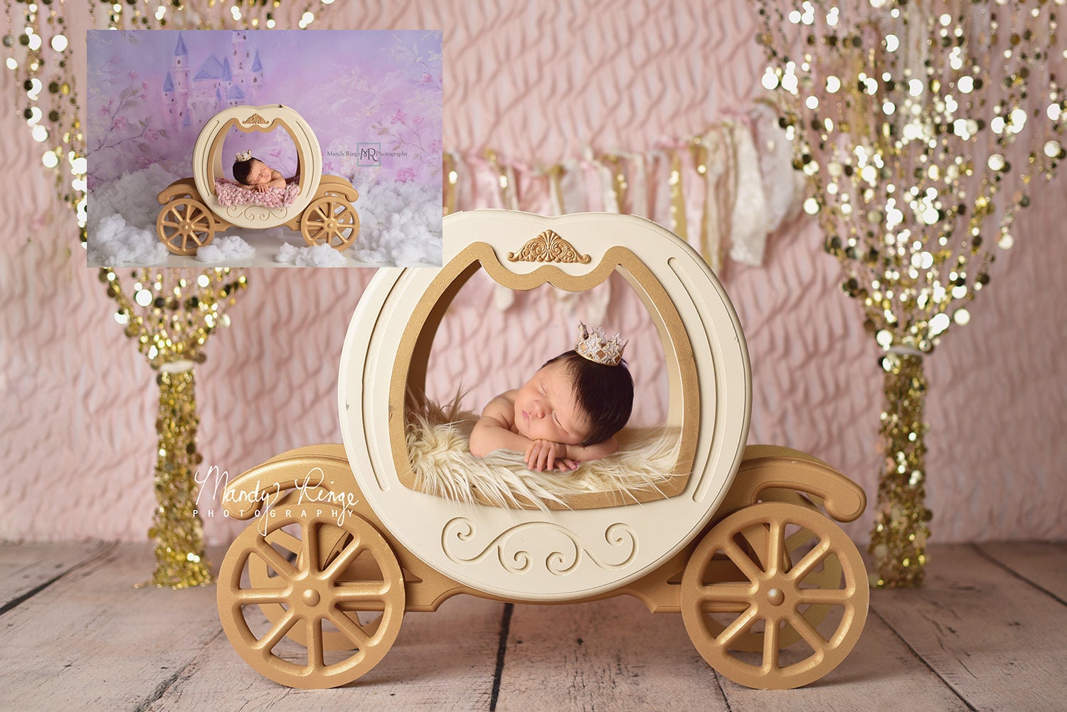 Newborn Digital Backdrop Princess Digital Background | Etsy