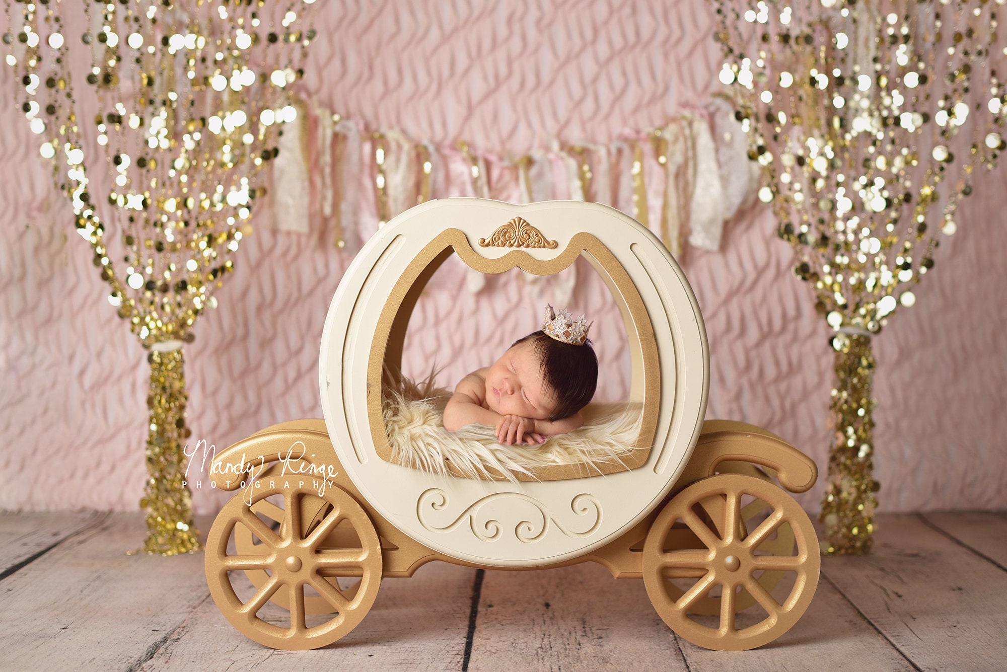 Newborn Digital Backdrop Princess Digital Background | Etsy