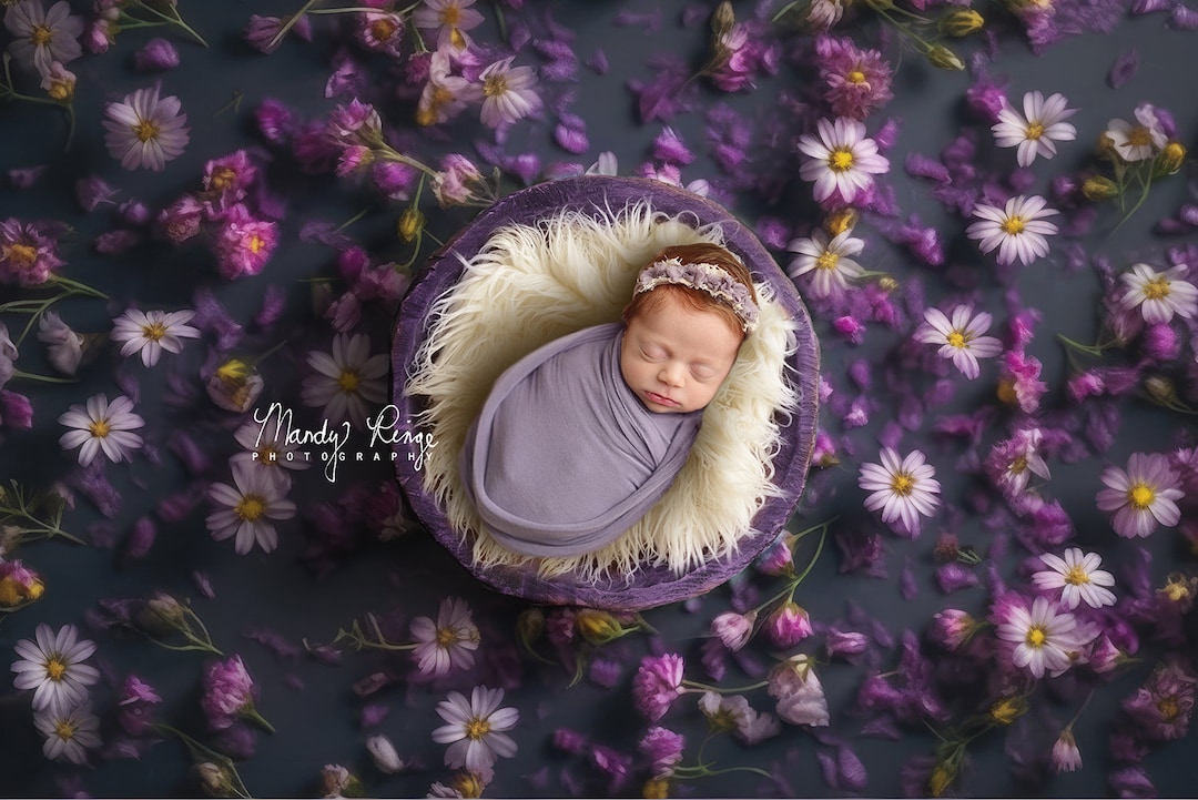 Newborn Digital Backdrop, Purple Floral With Wooden Bowl - Etsy