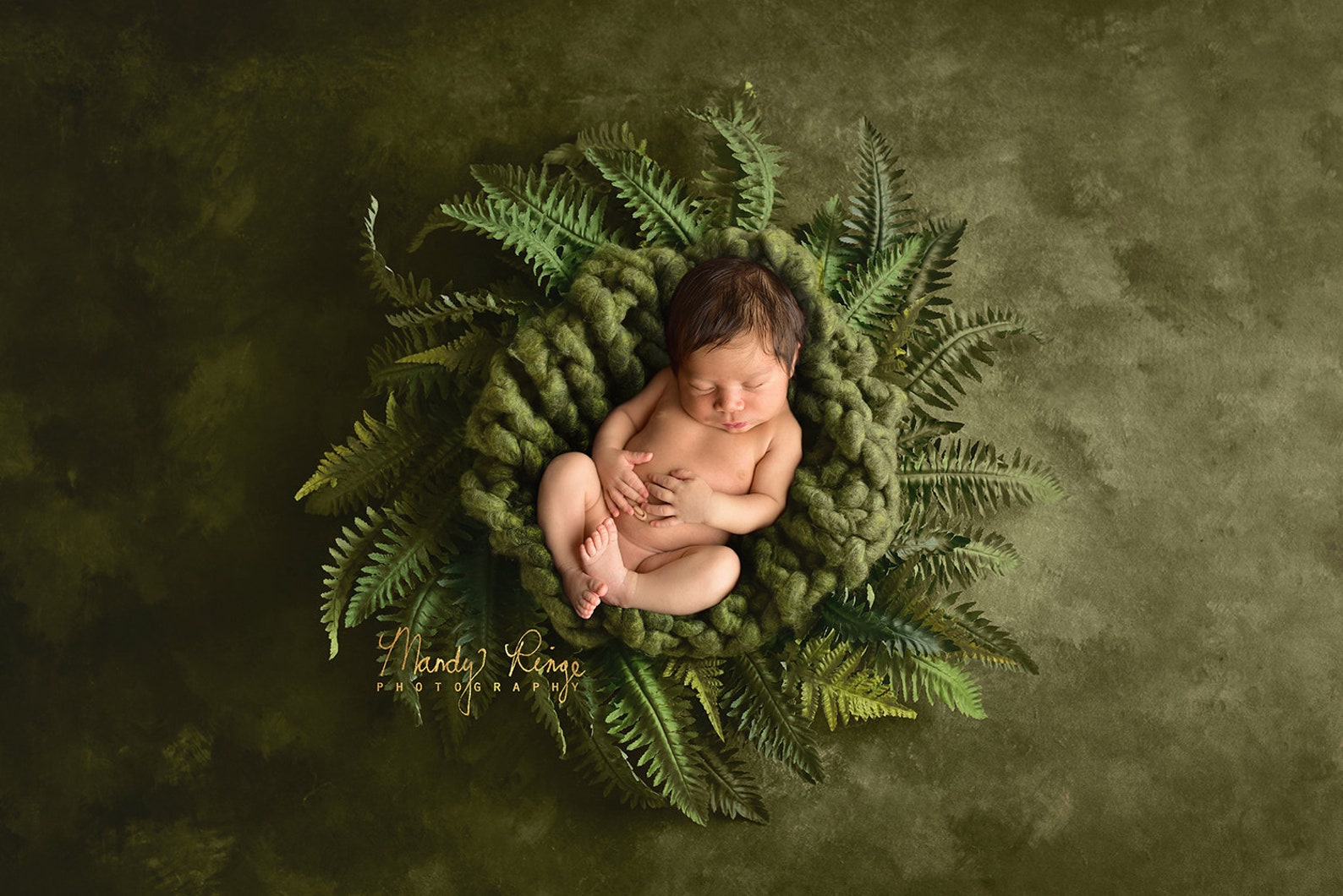 Newborn Digital Backdrop, Nature Digital Background, Fern Wreath Nest ...
