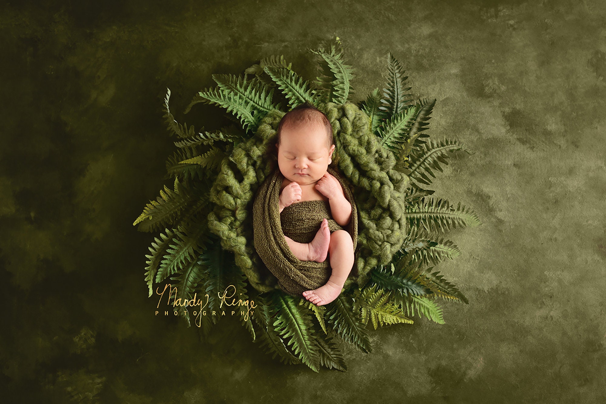 Newborn Digital Backdrop Nature Digital Background Fern | Etsy