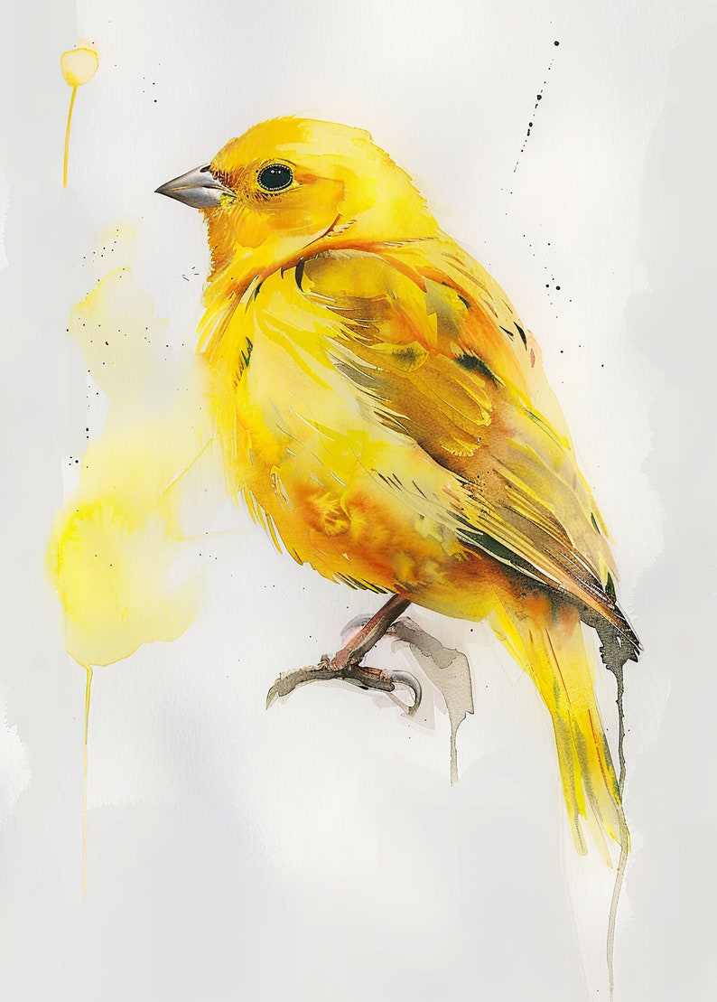 Watercolor Yellow Canary Wall Art - Vibrant Bird Illustration for Home ...