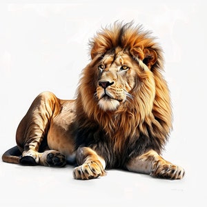 14 Majestic Lion Clipart Realistic Full-body Lion Illustration Regal ...