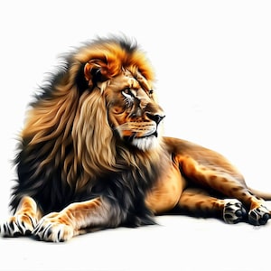 14 Majestic Lion Clipart Realistic Full-body Lion Illustration Regal ...