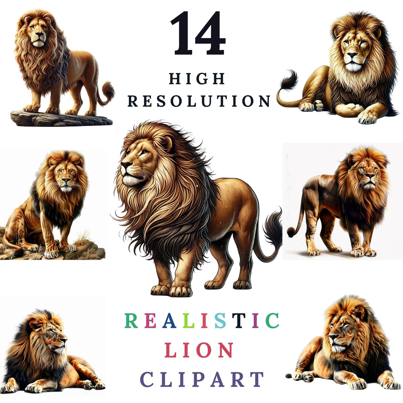 14 Majestic Lion Clipart | Realistic Full-body Lion Illustration ...