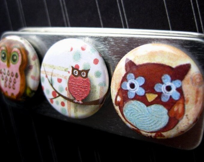 OWL LOVE Set of 3 Button Magnets With Slide Top Tin Ready for Gift ...