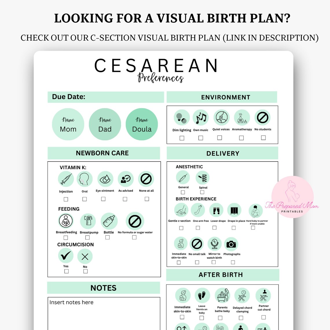 Visual Birth Plan Template Bundle,printable Labor Delivery Preferences ...