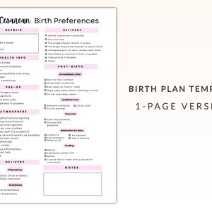 Pink C-section Birth Plan Template for Baby Girl, Simple Doula Handout ...