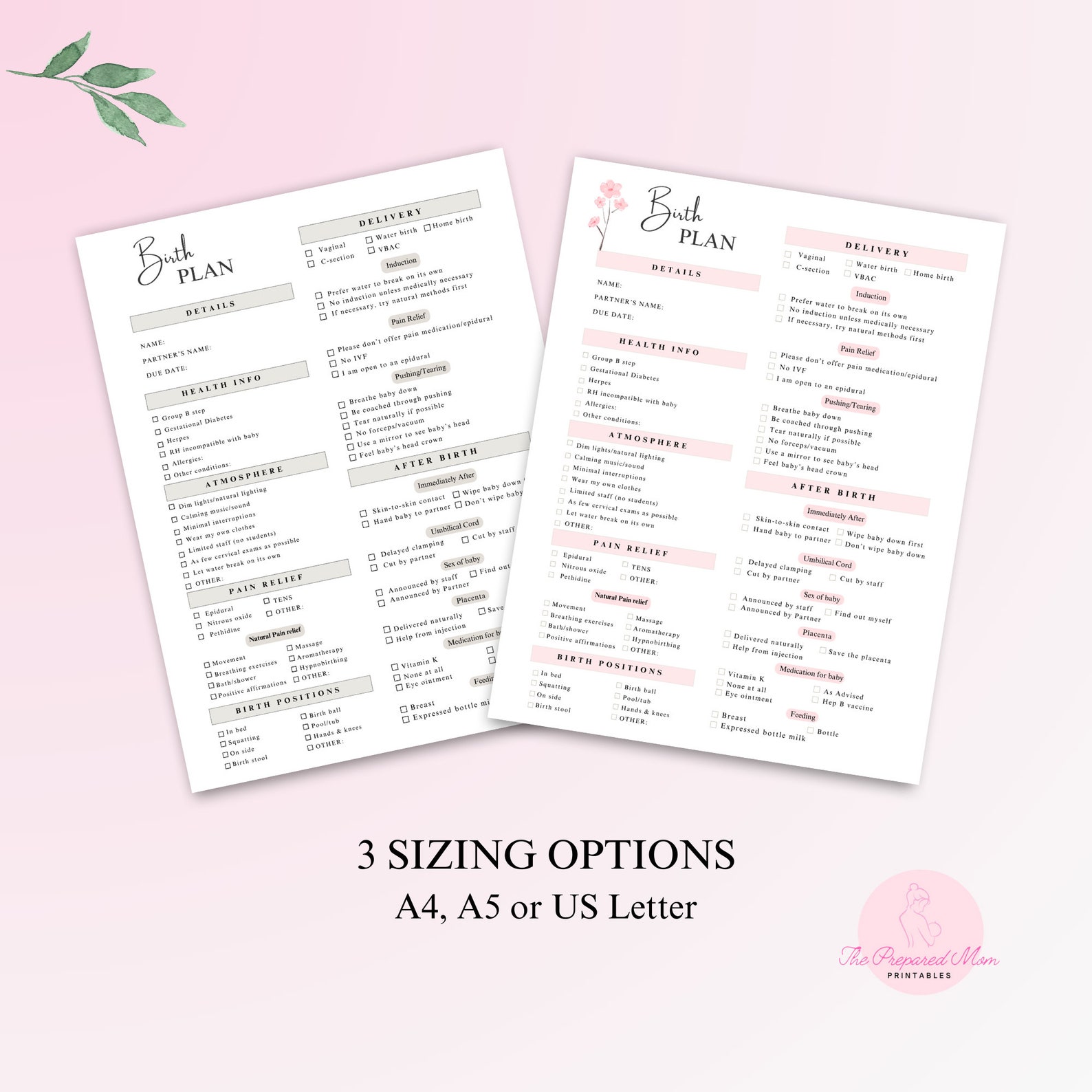 Editable Birth Plan Template, Simple Printable Canva Birth Plan, Visual ...